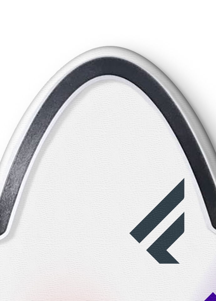 Fanatic Gecko Daggerboard