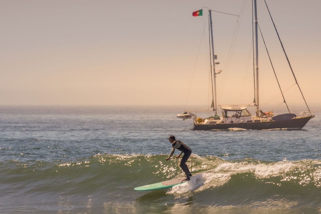 FANATIC Stylemaster ᐅ Inspired by classic longboard style Surfing!